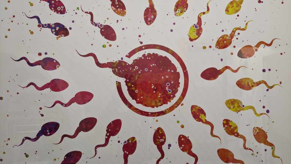 Your fertility journey with NUH Life - NUH Life