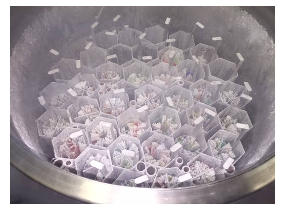 Sperm banking - NUH Life